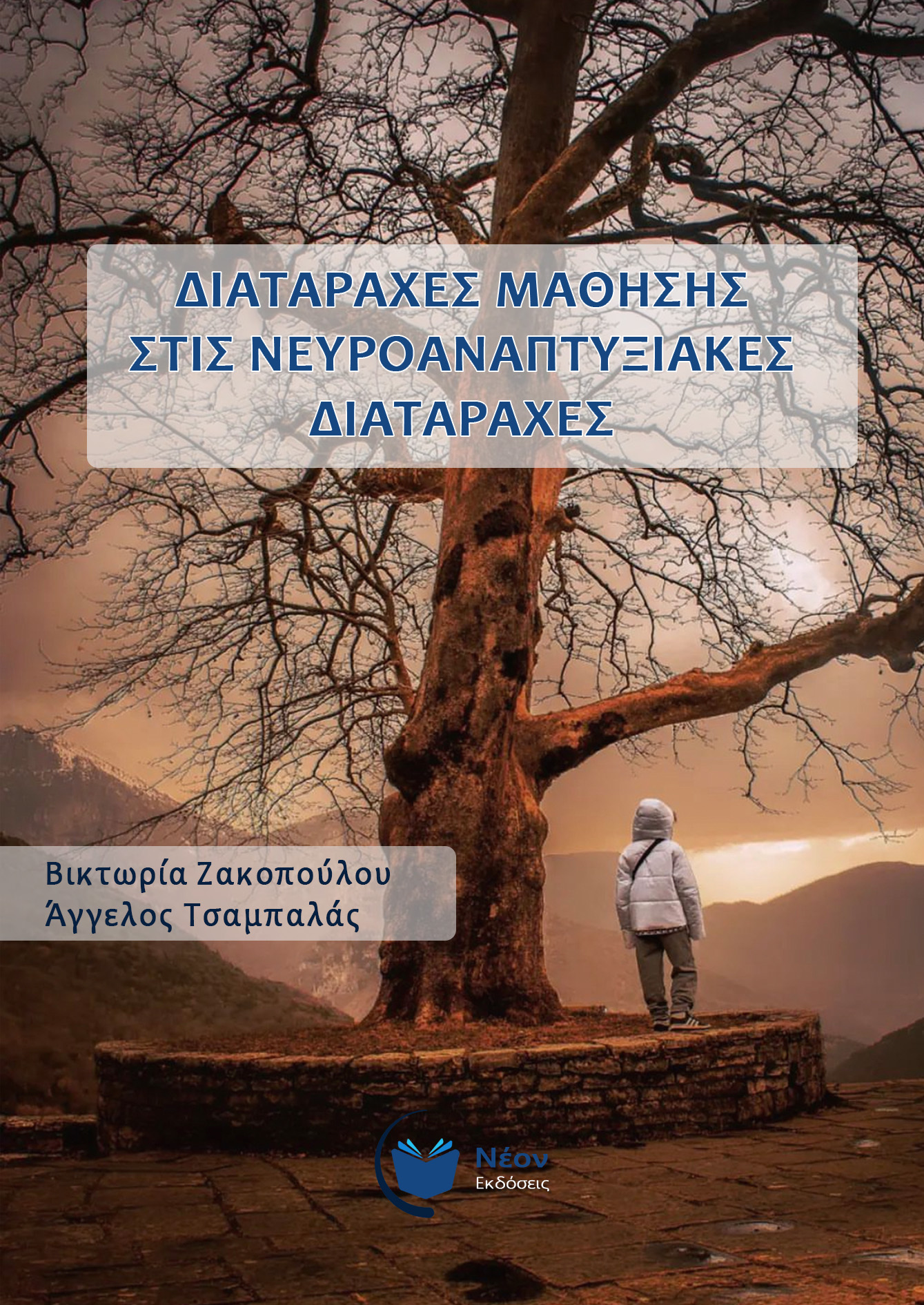 Διαταραχές μάθησης στις νευροαναπτυξιακές διαταραχές - Εκδόσεις ΝΕΟΝ